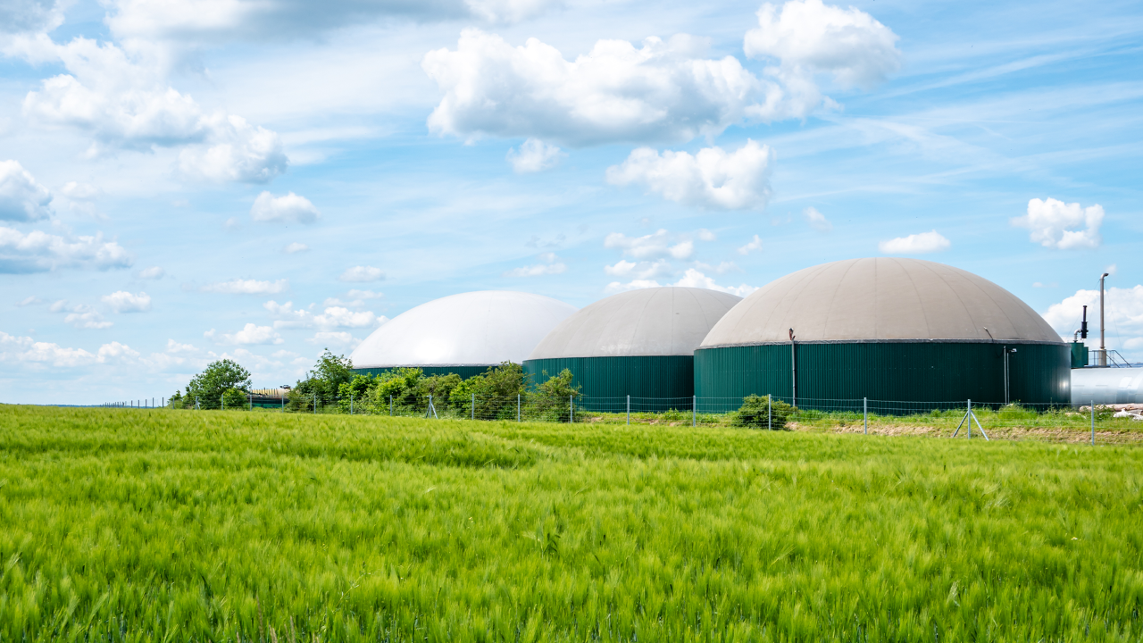Here and now: Europe backs biomethane | Macquarie Group