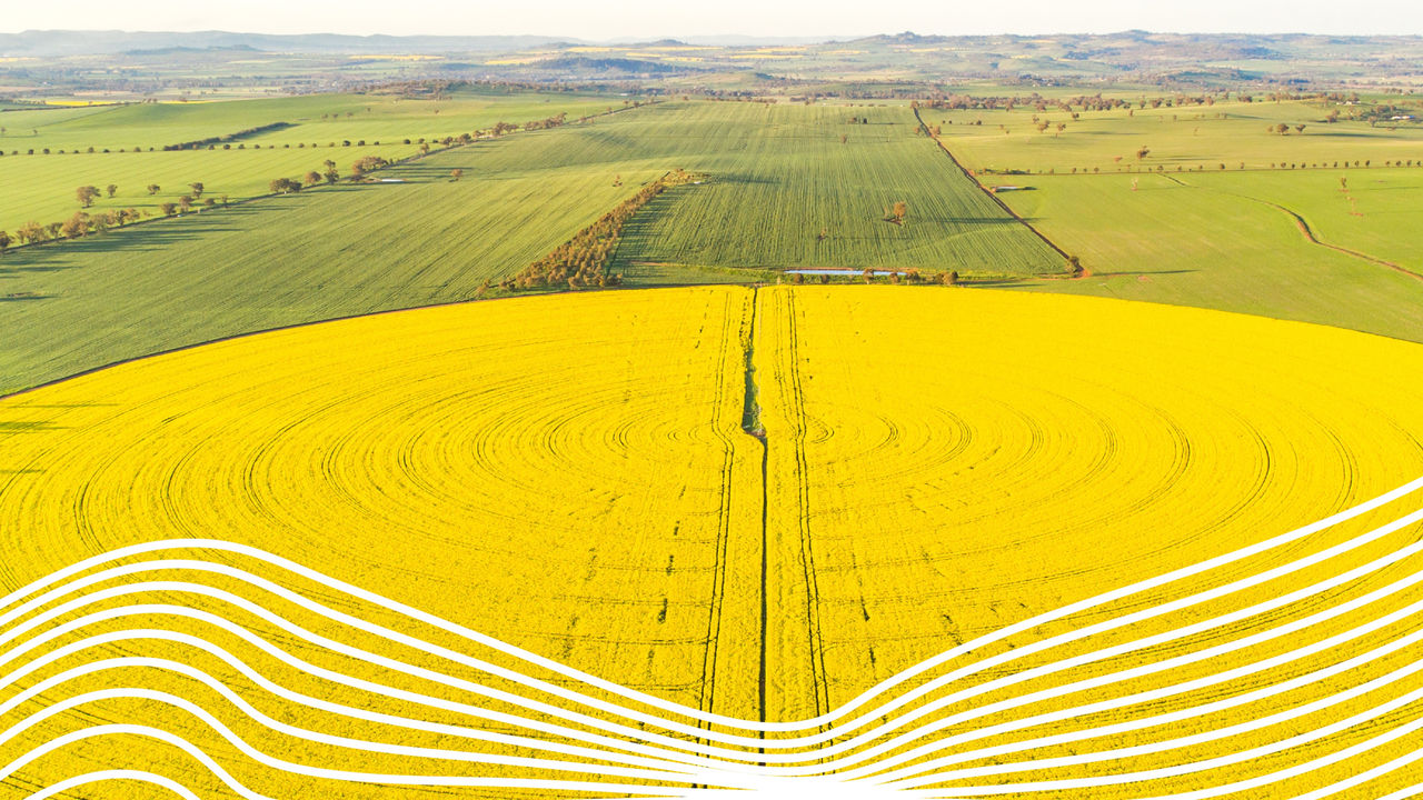 Viridis Ag’s pathway to net zero agricultural emissions | Agriculture ...