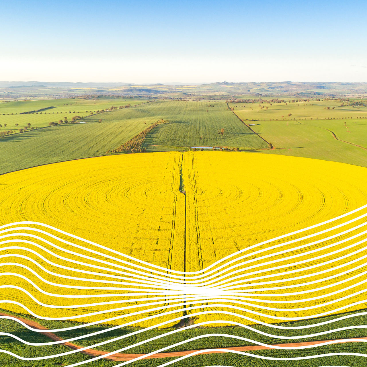 Viridis Ag’s pathway to net zero agricultural emissions | Agriculture ...
