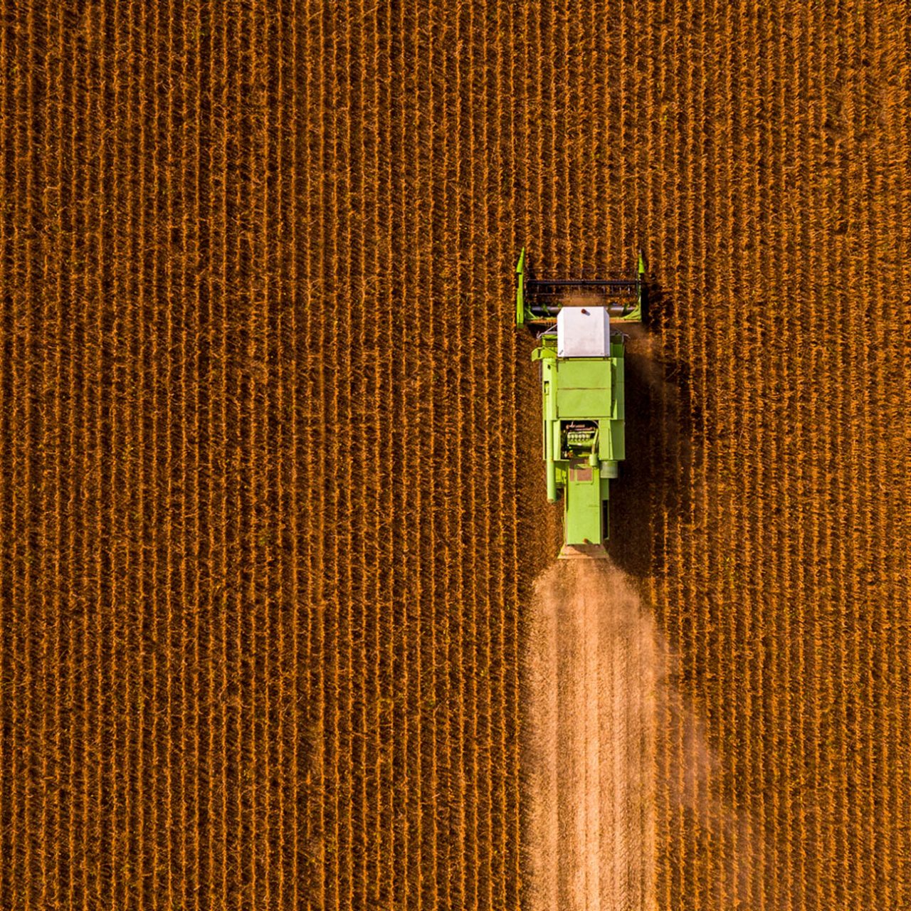 From field to fuel: Biofuels’ feedstock dilemma | Macquarie Group
