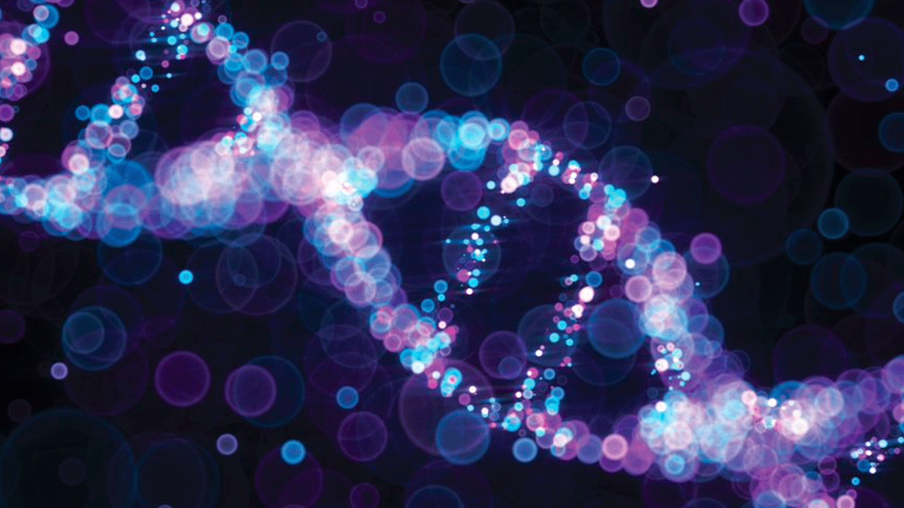 The technology ecosystem | Macquarie Group